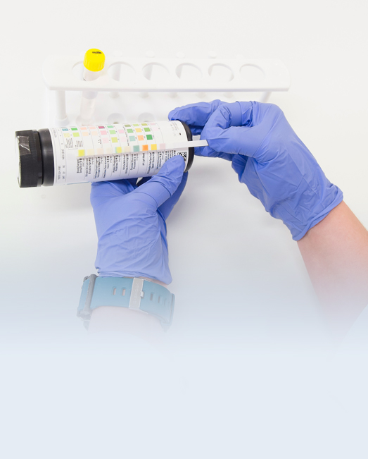 How to move into medicine from biomedical science - Impact - Australian ...