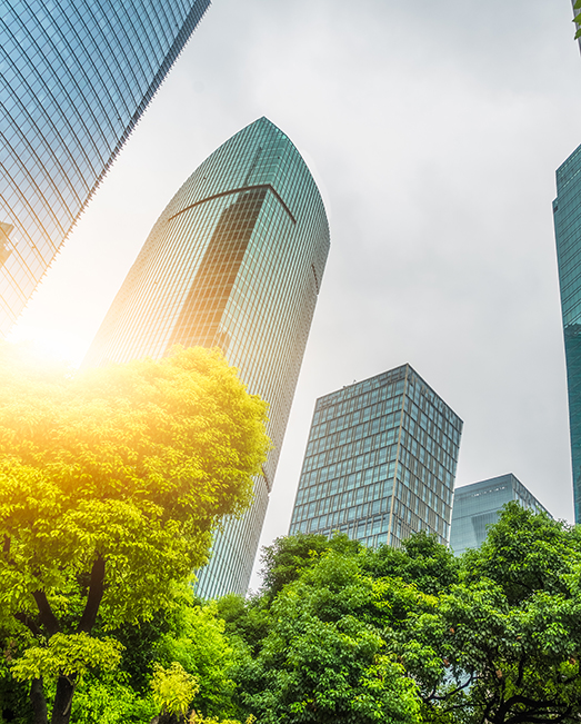 How green can your city be - Impact - Australian Catholic University